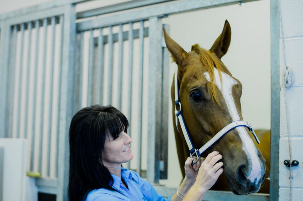 Horse Vaccinations - Pacific Vet Care